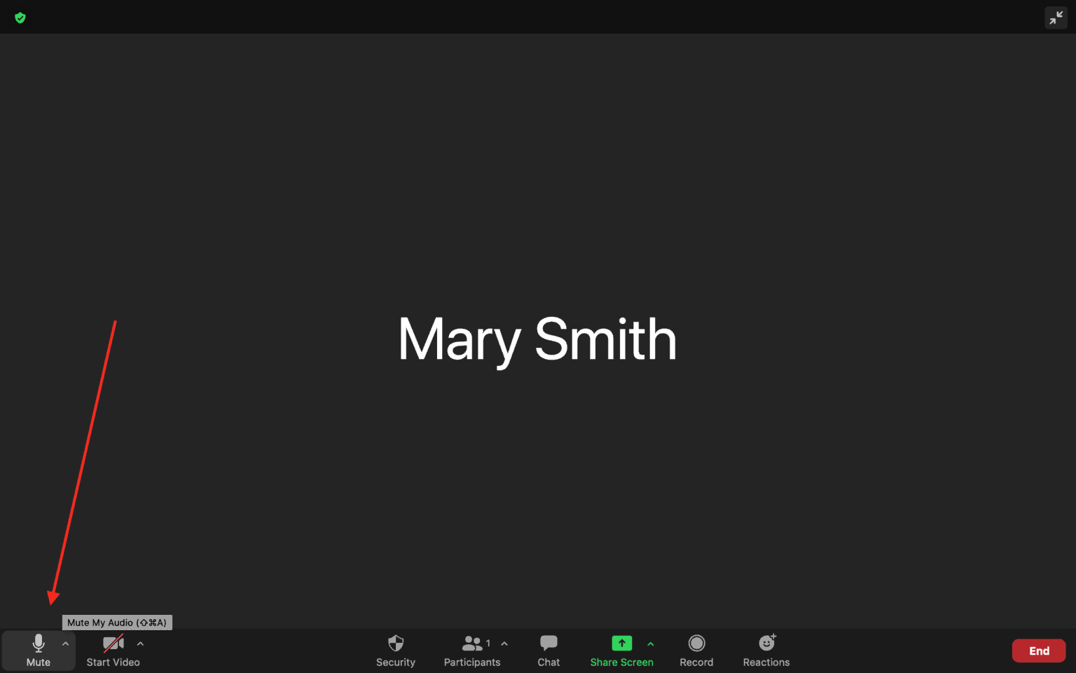 A Beginner’s Guide on How to Use Zoom | SeniorLiving.org