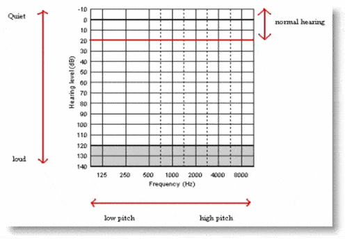 Hearing Aid Buying Guide | How to Order Hearing Aids Online