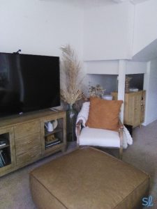 IRIS Flip Phone Review and Pricing in 2026