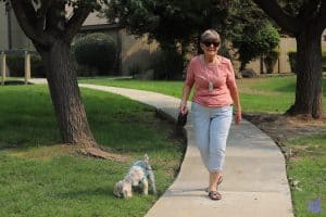 2025 MGMini Lite and MGMini Review | SeniorLiving.org